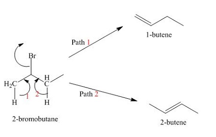 How many different E2 products can be formed from the ...