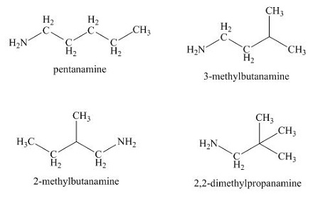 Draw all of the amines where the nitrogen is attached to one primary ...