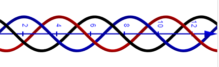 Collagen Fibers | Definition, Anatomy & Types - Lesson | Study.com