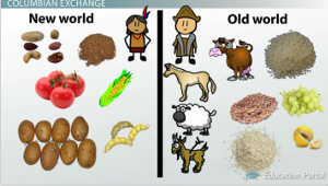 Identifying Causes of European Exploration Practice | World history ...