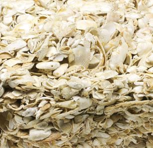 Limestone Definition, Types & Uses - Lesson | Study.com