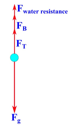 Identifying Free-Body Diagrams for Systems in Equilibrium Practice ...