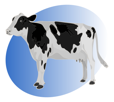 Eructation Definition, Causes & Treatment - Lesson | Study.com