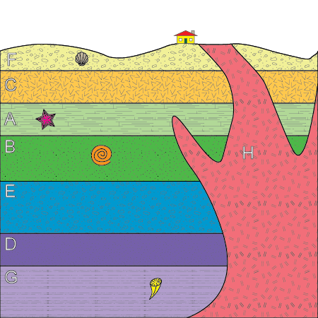 Inferring the Age of Fossils by Using Evidence Found in Nearby Rocks ...