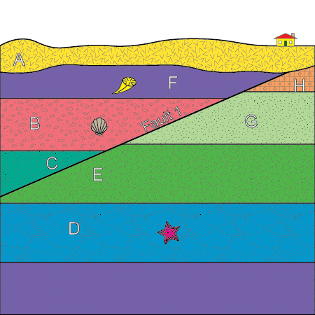 Inferring the Age of Fossils by Using Evidence Found in Nearby Rocks ...
