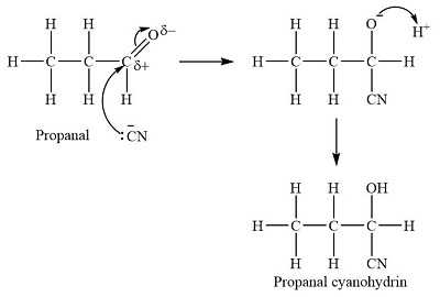 Write an equation for the reaction of propanal with cyanide ion, and ...