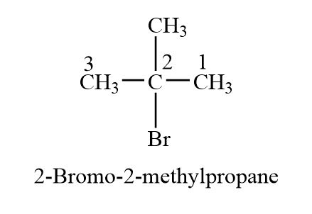 Draw and name the isomers of C4H9Br. | Study.com