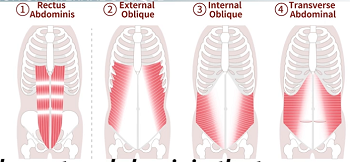 Internal Oblique Pain
