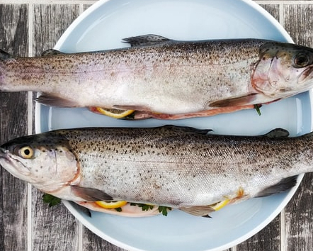 Two Friends by Guy de Maupassant | Summary, Analysis & Themes - Lesson ...