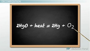 Biochemical Reactions in the Body | Overview, Types & Examples - Lesson ...