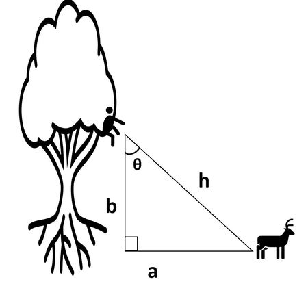 How to Solve a Right Triangle in a Word Problem | Geometry | Study.com