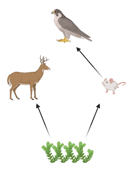 Predicting How Organisms Interact Based on their Ecosystems Practice ...