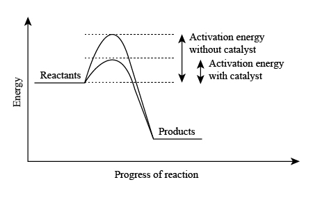What is a catalyst? How do catalysts work? What are some examples in ...