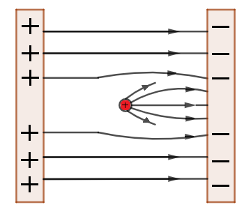 Drawing Isolines for a Given Electric Field Map Practice | Physics ...
