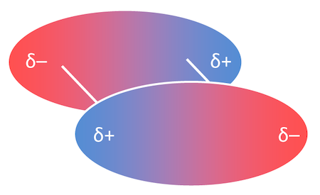 Intermolecular Forces | Overview, Types & Boiling Point - Lesson ...