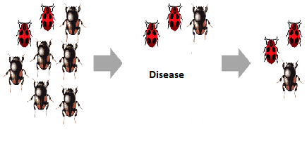 Differentiating between Evolutionary Processes Practice | Biology Practice Problems | Study.com
