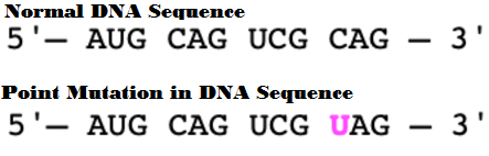 Polymorphism | Definition & Examples - Lesson | Study.com