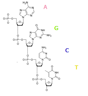 Carbon in Organic Compounds | Overview & Examples - Lesson | Study.com
