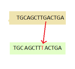 Analyzing Genetic Variation Due to Mutation Practice | Biology Practice ...