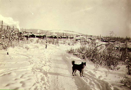 To Build a Fire by Jack London | Summary, Themes & Analysis - Lesson ...