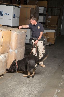 K9 Police Dogs | Training, Types & Breeds | Study.com