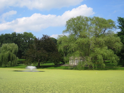 Calvert Vaux | Life, Collaboration & Legacy | Study.com