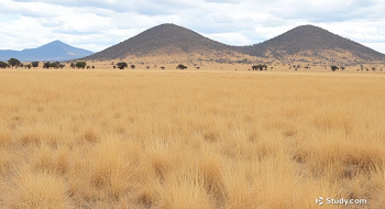 Steppe Climate | Definition, Types & Examples - Lesson | Study.com