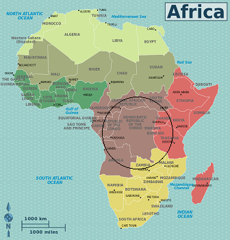 Bonobos | Overview, Diet & Habitat | Study.com