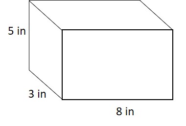 NES Elementary Education Subtest 2 (103): Practice & Study Guide ...