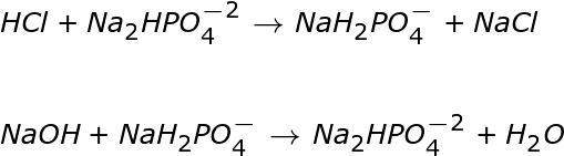 pH Balance in the Body: Regulation, Dietary Factors & Imbalance | Study.com