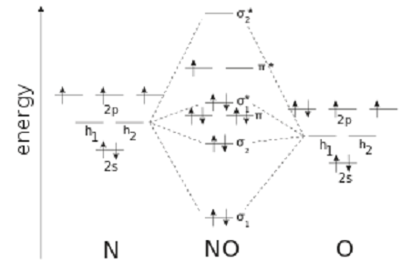 Interpreting Representations of Transitions Between Atomic Energy ...