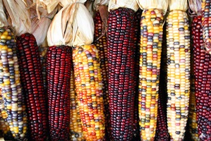 Cherokee Art | Symbols, Design & Meaning | Study.com