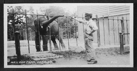 Smithsonian Institution History, Components & Facts | Study.com