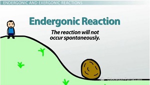 Basic Properties of Chemical Reactions - Video & Lesson Transcript ...