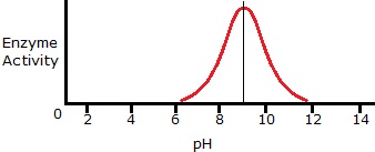 Analyzing the Effect of pH on Enzyme Efficiency Practice | Biology ...