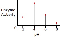 Analyzing the Effect of pH on Enzyme Efficiency Practice | Biology ...