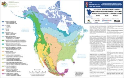 Ecoregions of the United States | Definition, Map & Examples | Study.com