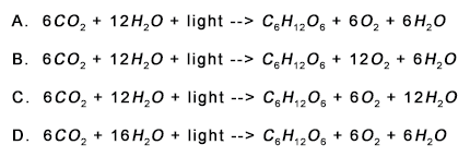 Photosynthesis Equation Reactants And Products
