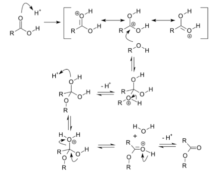 Acid Chloride | Uses, Formation & Reaction | Study.com