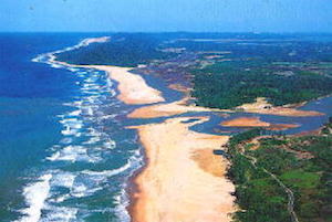 Estuaries Lesson for Kids: Definition & Facts | Study.com