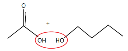How to Predict the Reactants of Ester Hydrolysis | Chemistry | Study.com