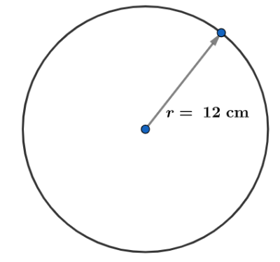 Distinguishing Between the Area & Circumference of a Circle Practice ...