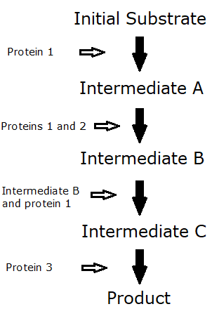 Analyzing how Stimuli can Lead to Inhibition of Pathway Practice ...