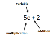 Evaluating Simple Expressions with Substitution: Lesson for Kids ...