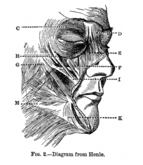 Emotional Display Rules | Definition, Development & Examples - Lesson ...