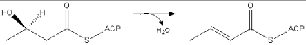 Dehydration Reaction | Overview & Examples - Lesson | Study.com
