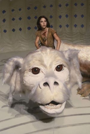 The Neverending Story by Michael Ende | Summary & Characters - Lesson ...