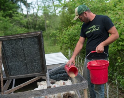 Aflatoxin | Symptoms, Signs & Effects - Lesson | Study.com
