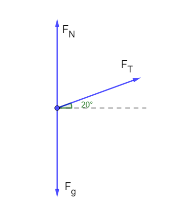 Identifying a Free Body Diagram for Forces Practice | Physics Practice ...