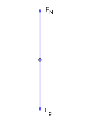 Identifying a Free Body Diagram for Forces Practice | Physics Practice ...